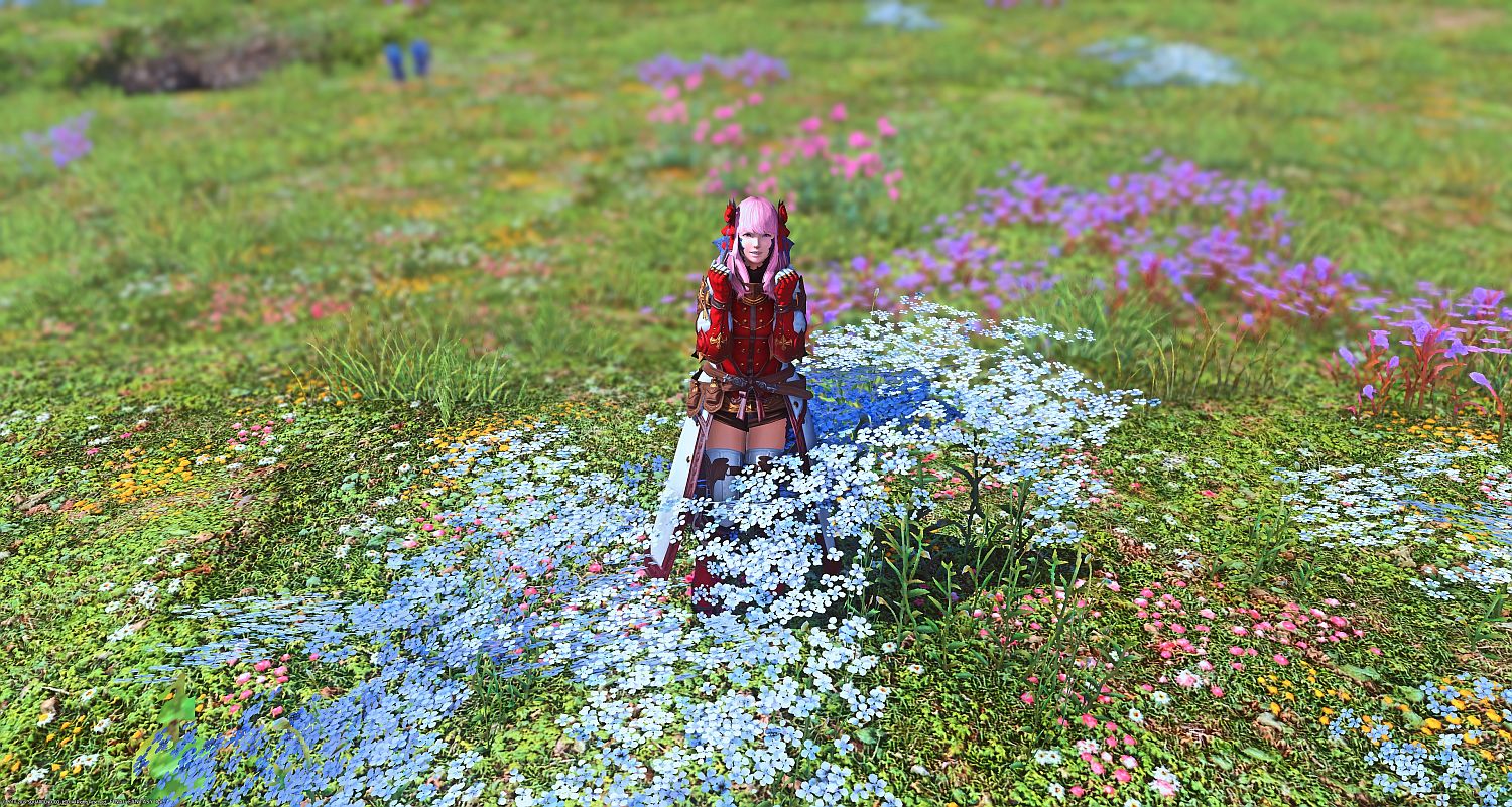 hoh05 – Bread Master Lee