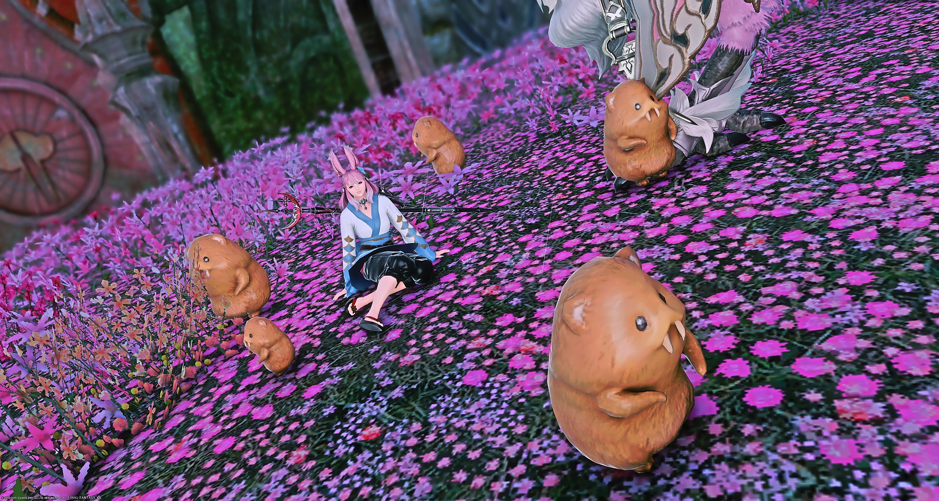 beavers – Bread Master Lee