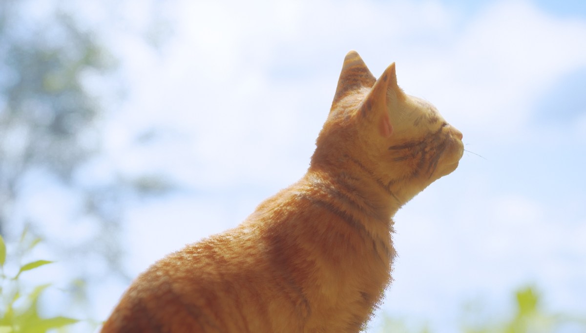 Cat RPG Review: Stray – Bread Master Lee